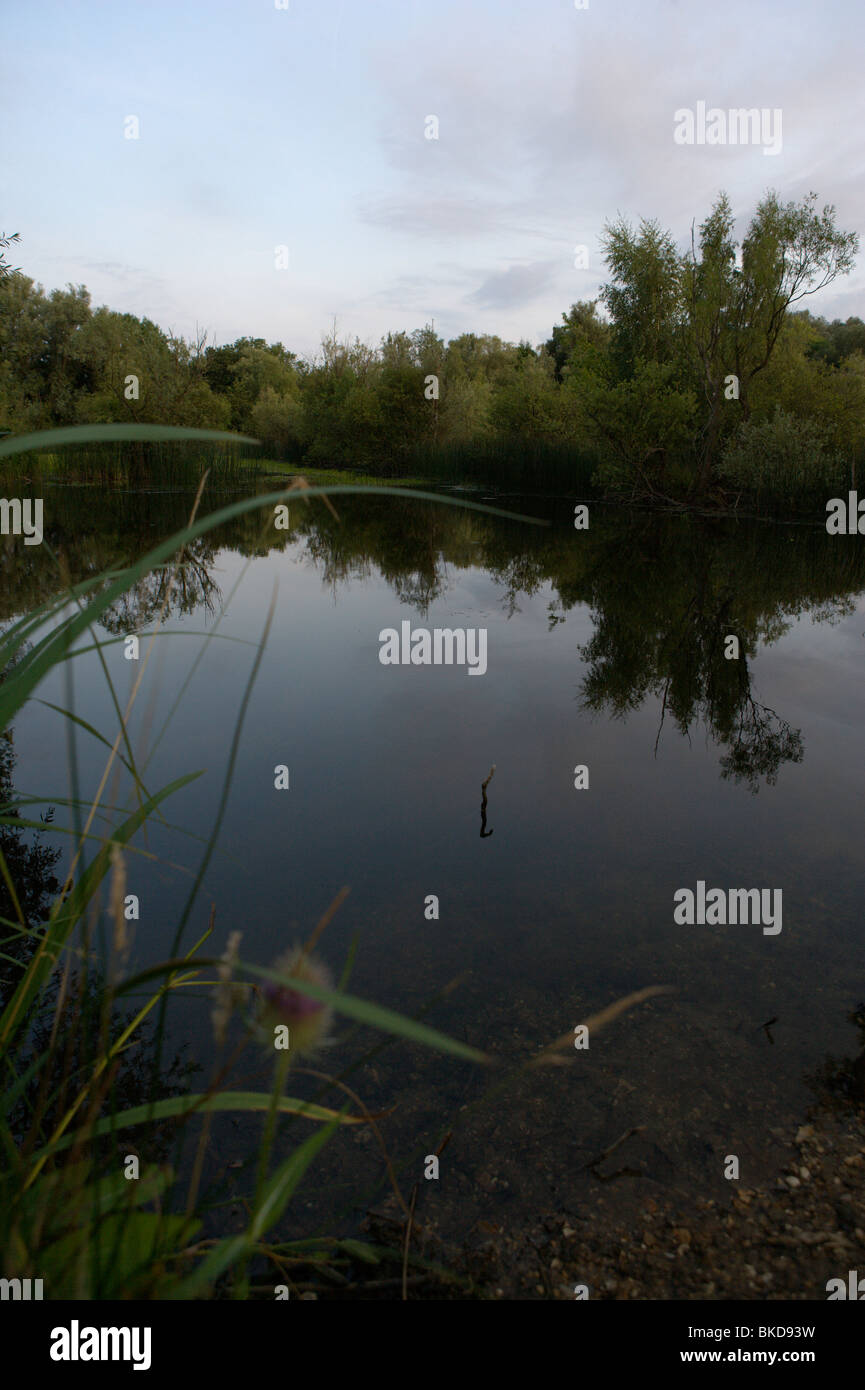 Felmersham Gravel Pits High Resolution Stock Photography and Images - Alamy
