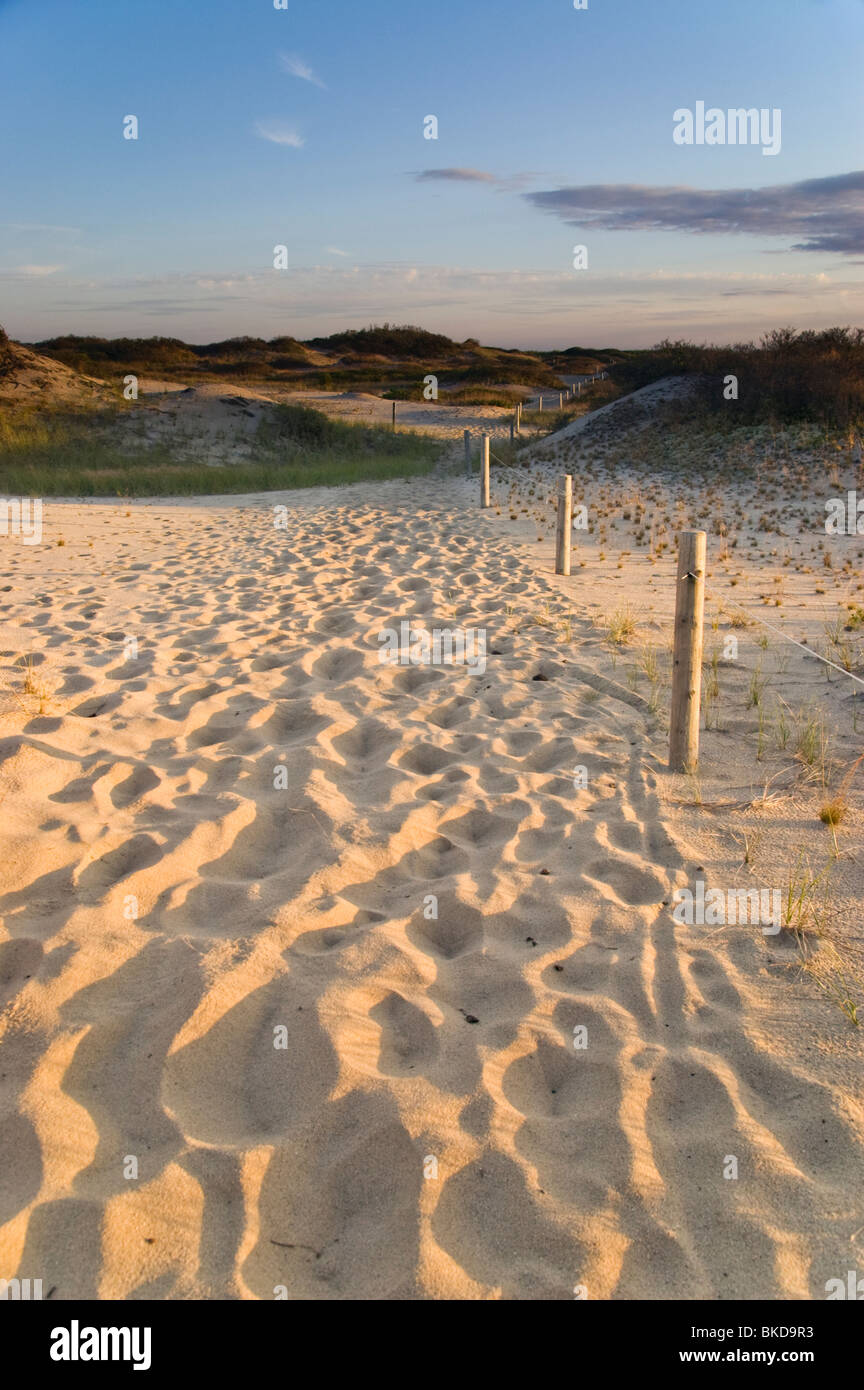 Sand Dunes at Cape Cod National Seashore, Provincetown, Massachusetts ...