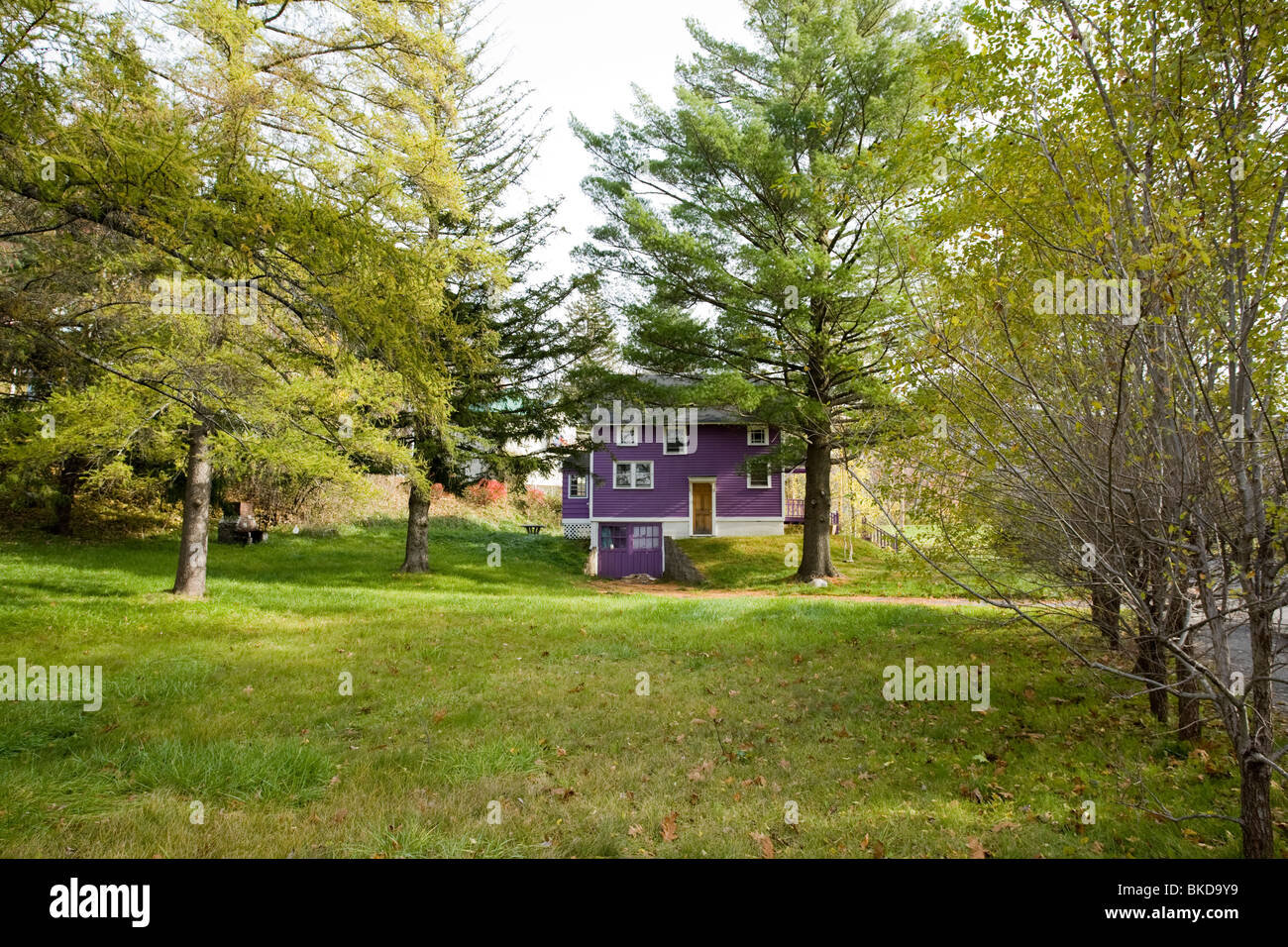 An unoccupied purple house in a small New England town Stock Photo - Alamy