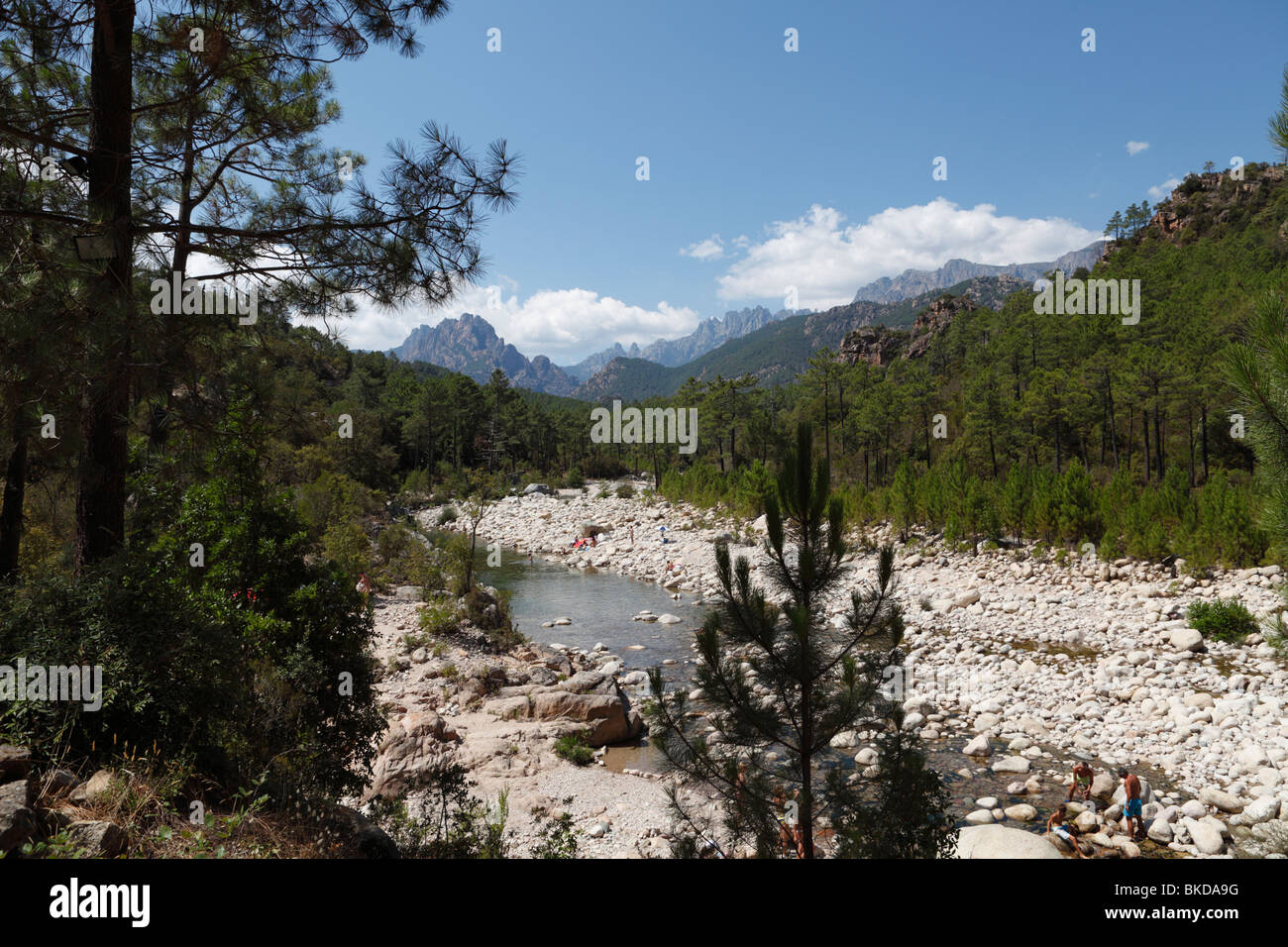 swimming in a mountain stream in Corsica Stock Photo - Alamy