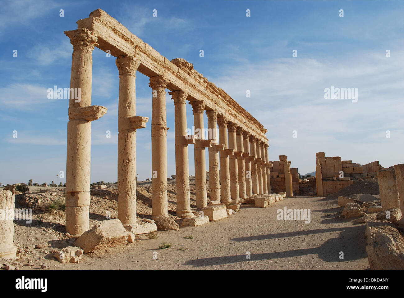 ruins of the Palmyra archeological site, Tadmur, Syria, Asia Stock ...