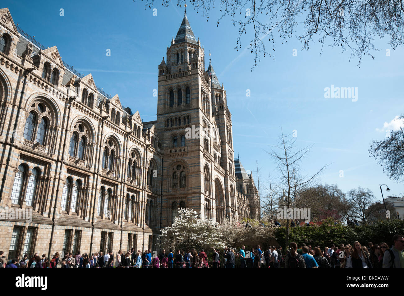 Natural History Museum Front Stock Photo - Alamy