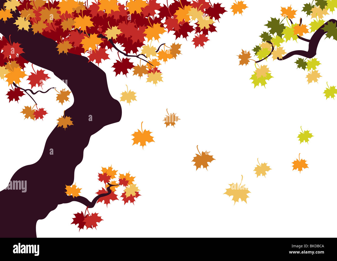 Autumn tree with falling leaves Stock Photo - Alamy