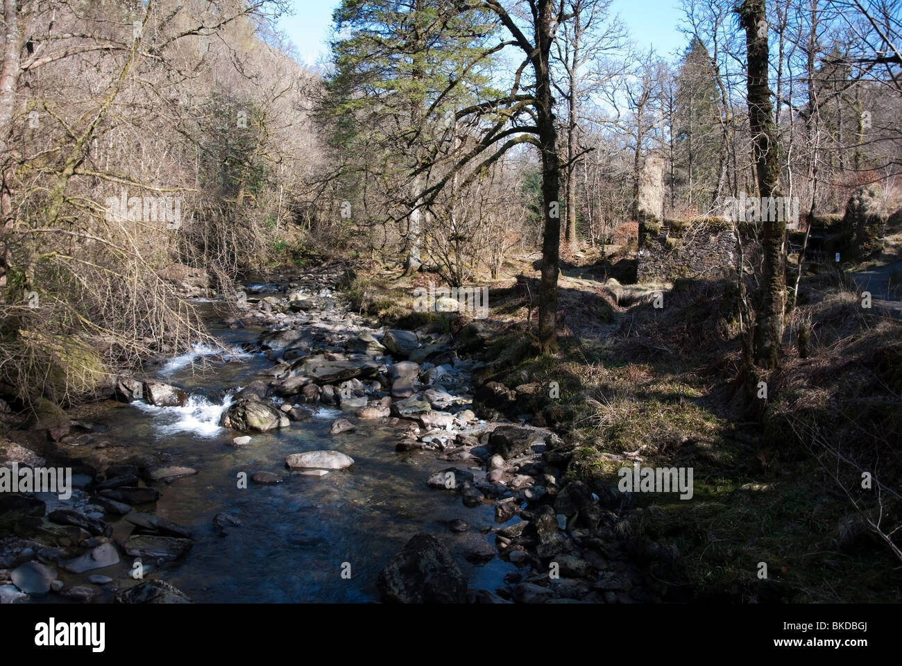 Ardkinglas High Resolution Stock Photography and Images - Alamy