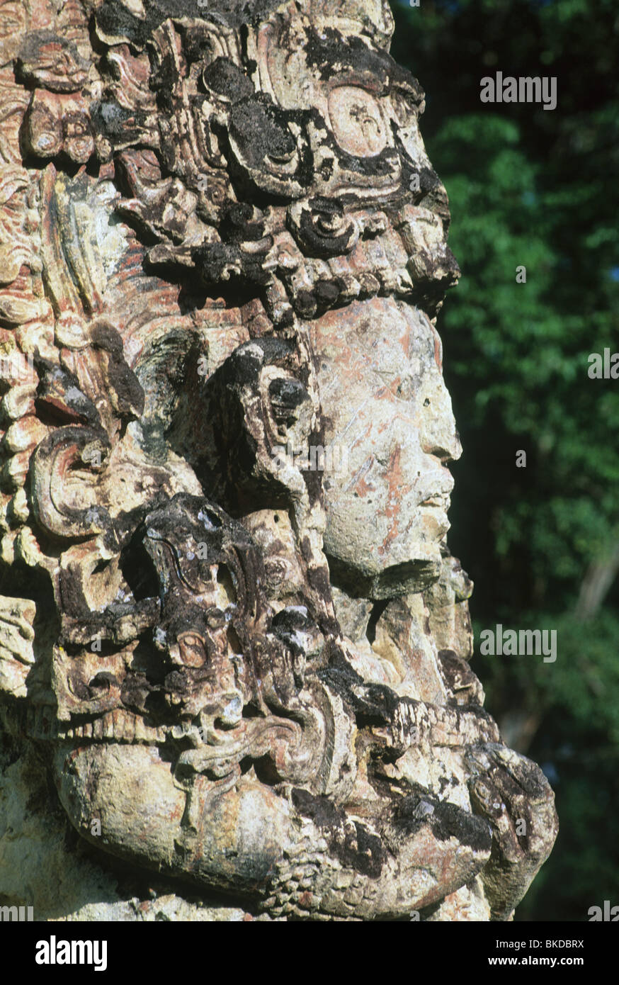 Honduras, Copan Maya Ruins, Stela H, Main Plaza, face of 18 Rabbit ...