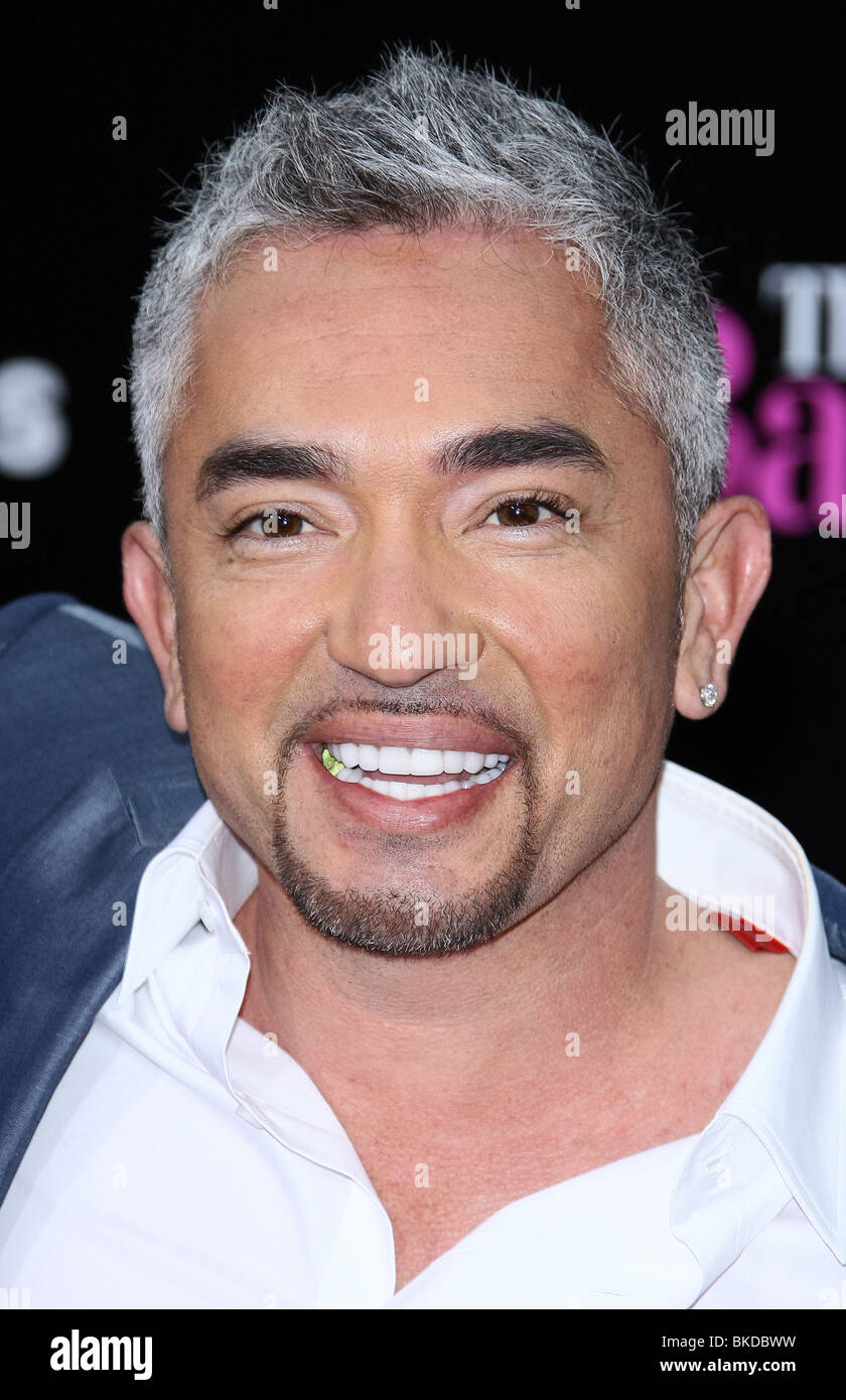 Cesar millan hi-res stock photography and images - Alamy