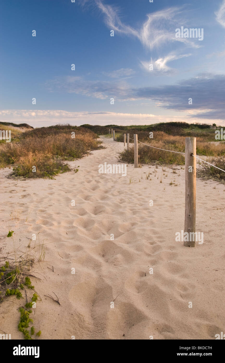 Sand Dunes at Cape Cod National Seashore, Provincetown, Massachusetts ...