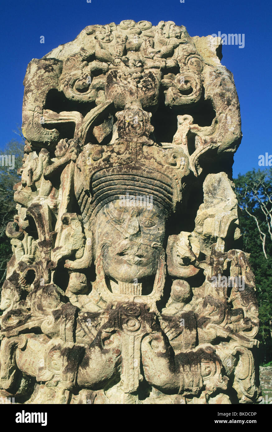 Honduras, Copan Maya Ruins, detail of Stela H, Main Plaza, face of 18 ...