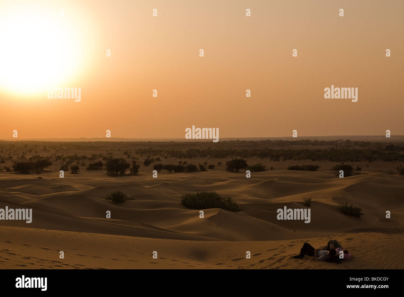Khuri dunes hi-res stock photography and images - Alamy