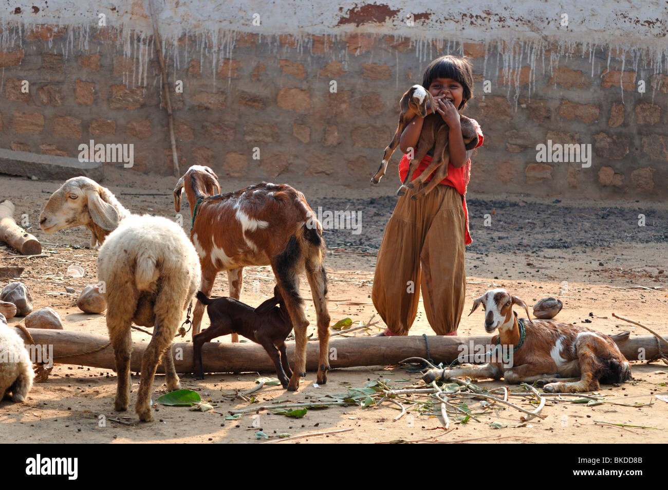 Indian Shepherd girl Stock Photo - Alamy