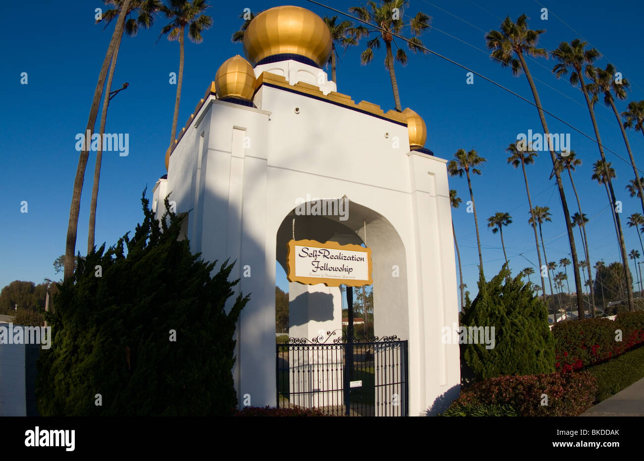 Srf hi-res stock photography and images - Alamy