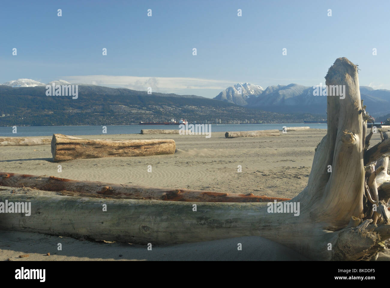 Logs on sand hi-res stock photography and images - Alamy