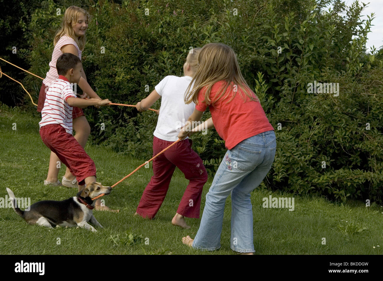 More having a fight hi-res stock photography and images - Alamy