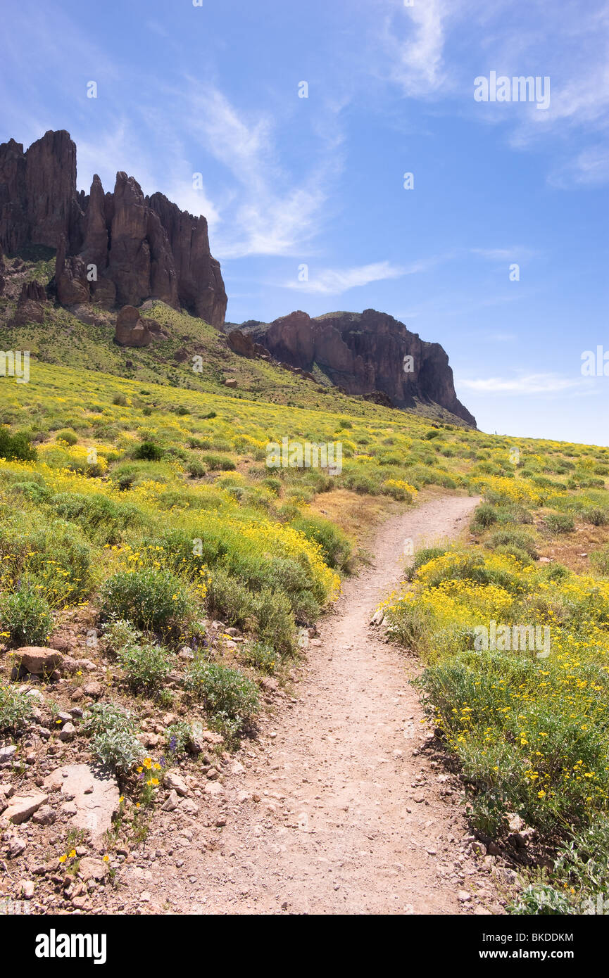 A dirt path during a spring day in the desert Stock Photo - Alamy