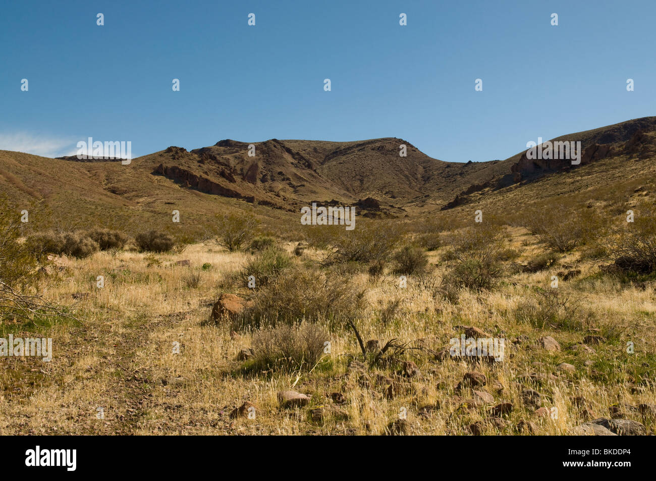 Desert area near Red Mountain, California. This is prime Chukar habitat ...