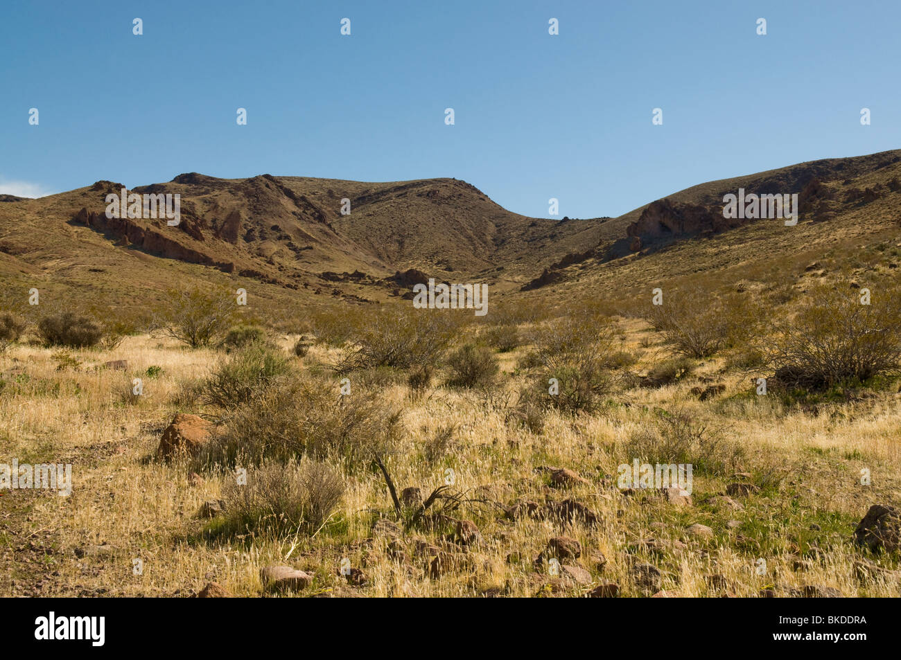 Desert mountain habitat hi-res stock photography and images - Alamy