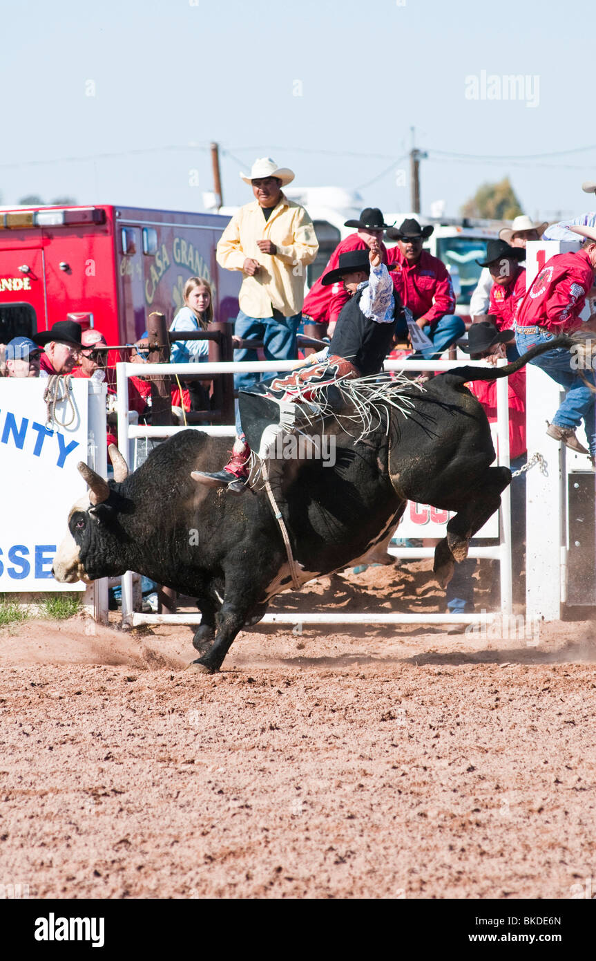 a cowboy competes in the bull riding event during the O'Odham Tash all ...