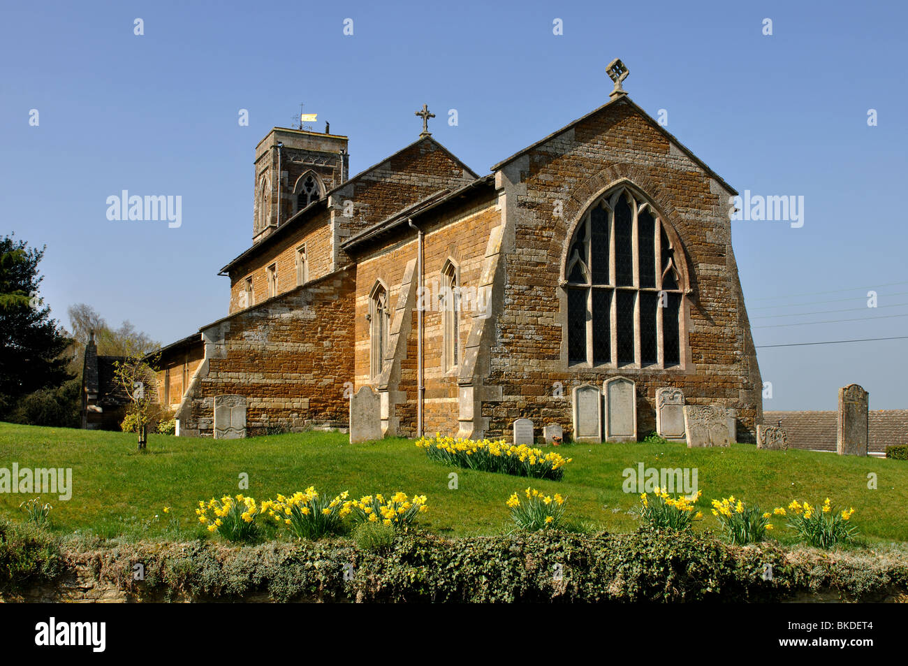 Magdalene flowers hi-res stock photography and images - Alamy