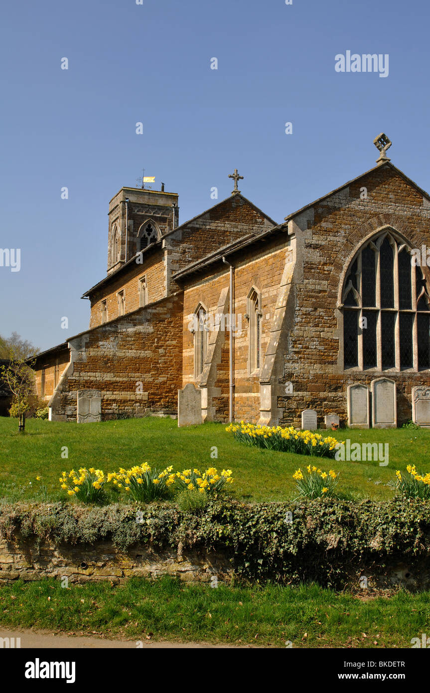 Magdalene flowers hi-res stock photography and images - Alamy