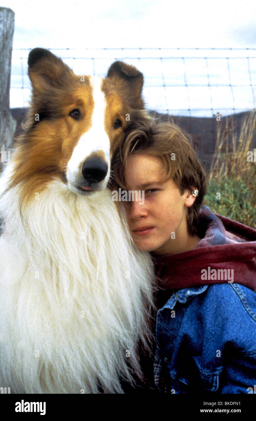 LASSIE -1994 THOMAS GUIRY Stock Photo - Alamy