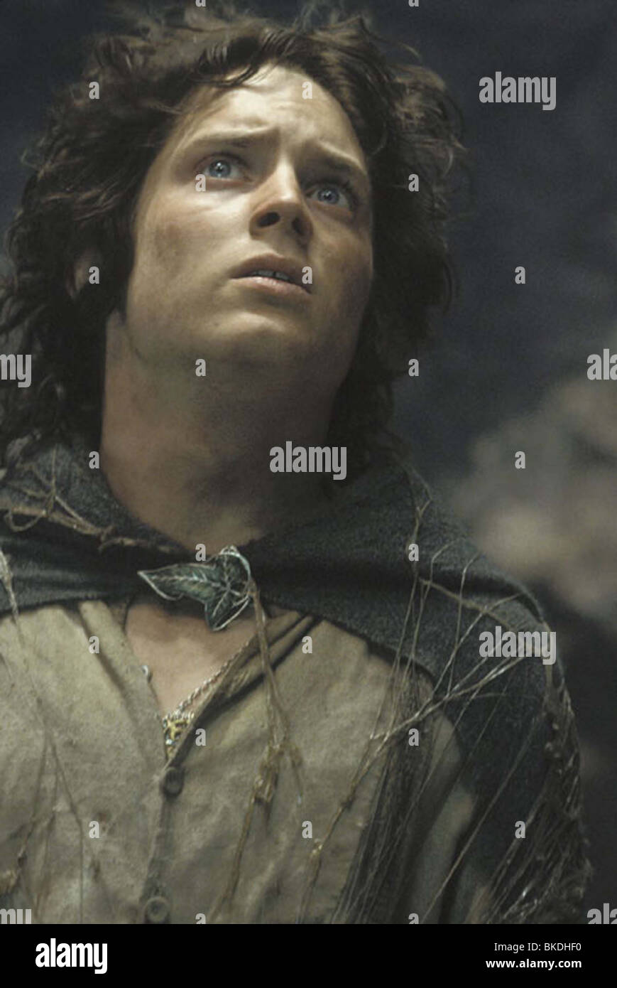 Elijah Wood Frodo