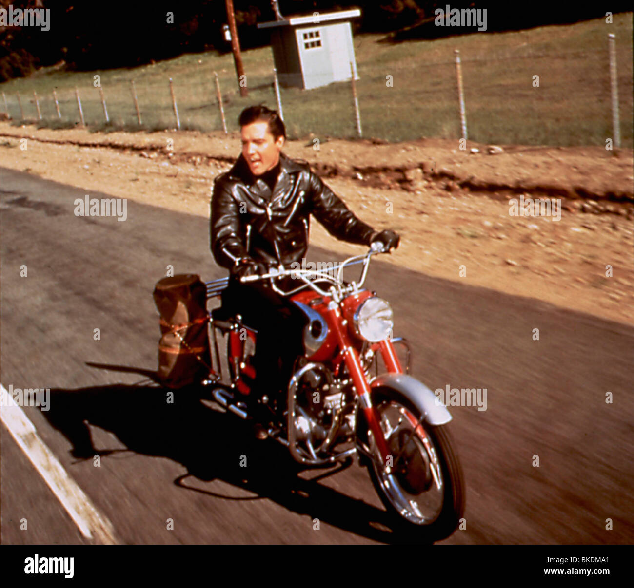 ROUSTABOUT -1964 ELVIS PRESLEY Stock Photo - Alamy
