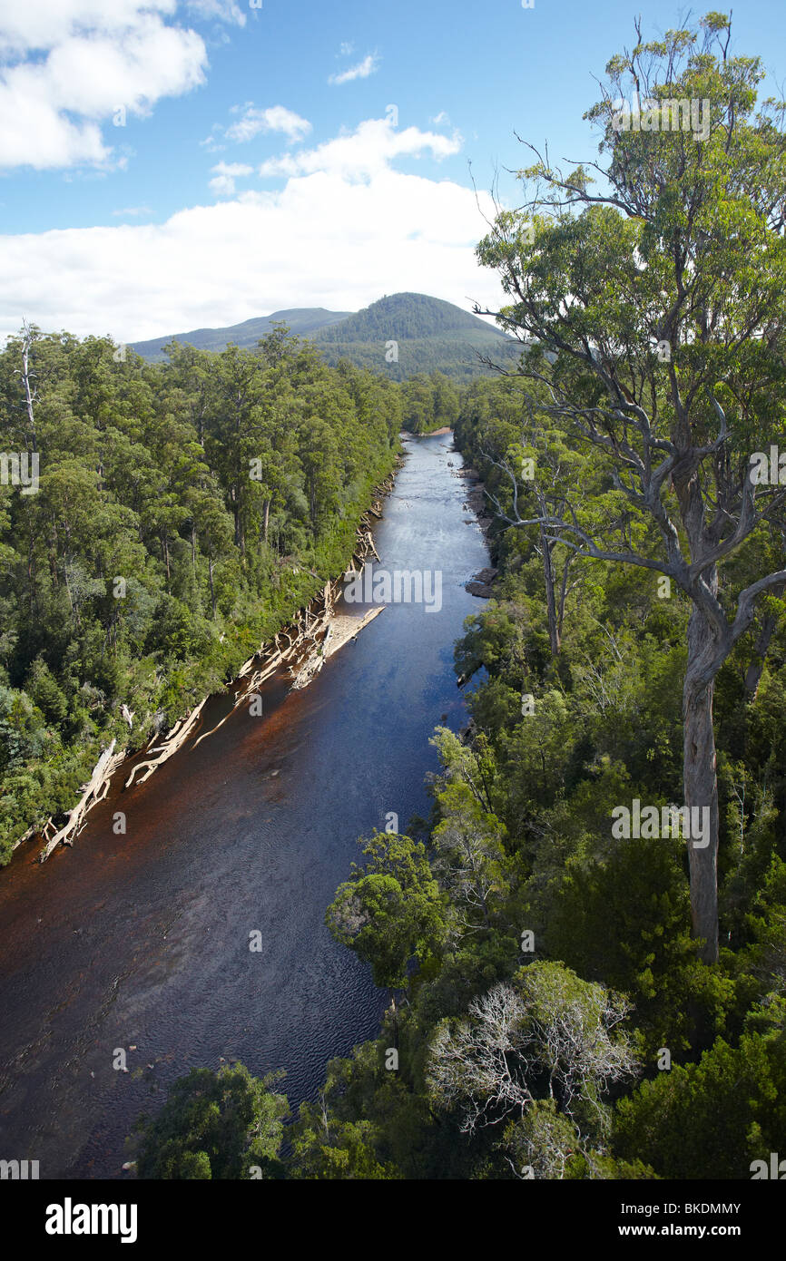 Huon River and Forest, Tahune Forest Reserve, Southern Tasmania ...