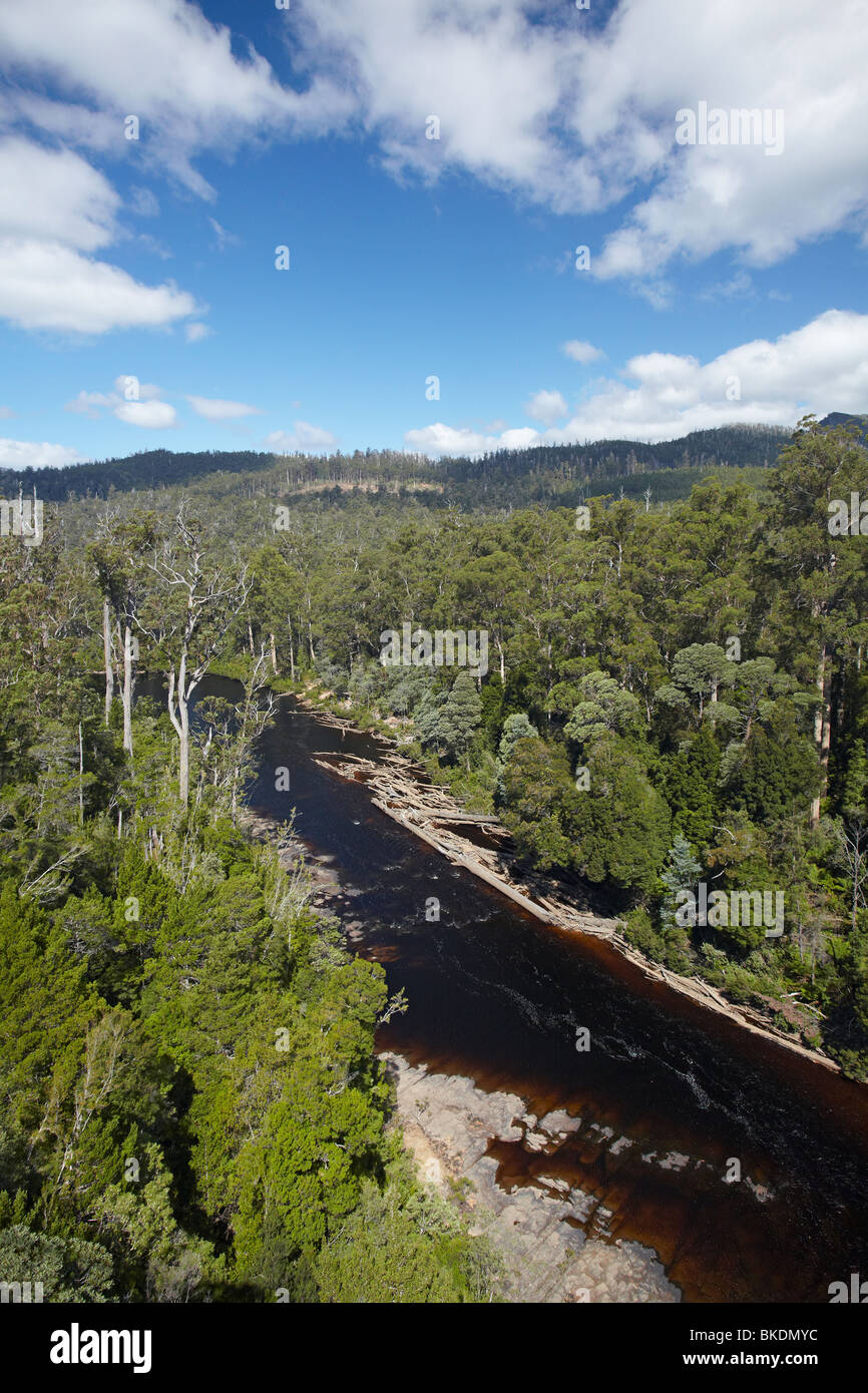Huon River and Forest, Tahune Forest Reserve, Southern Tasmania ...