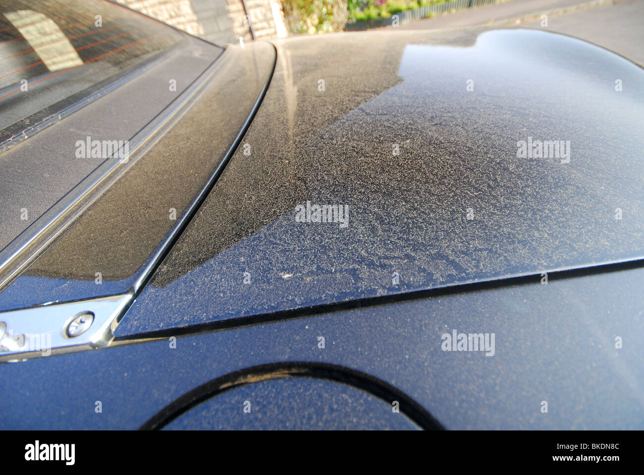 Yellow Pollen On Cars
