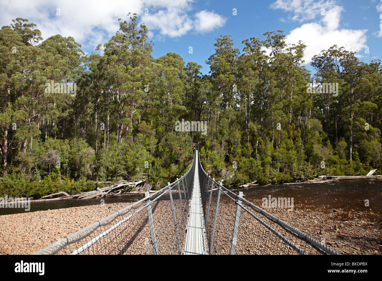 Huon Swinging Bridge, over Huon River, Tahune Forest Reserve, Southern ...