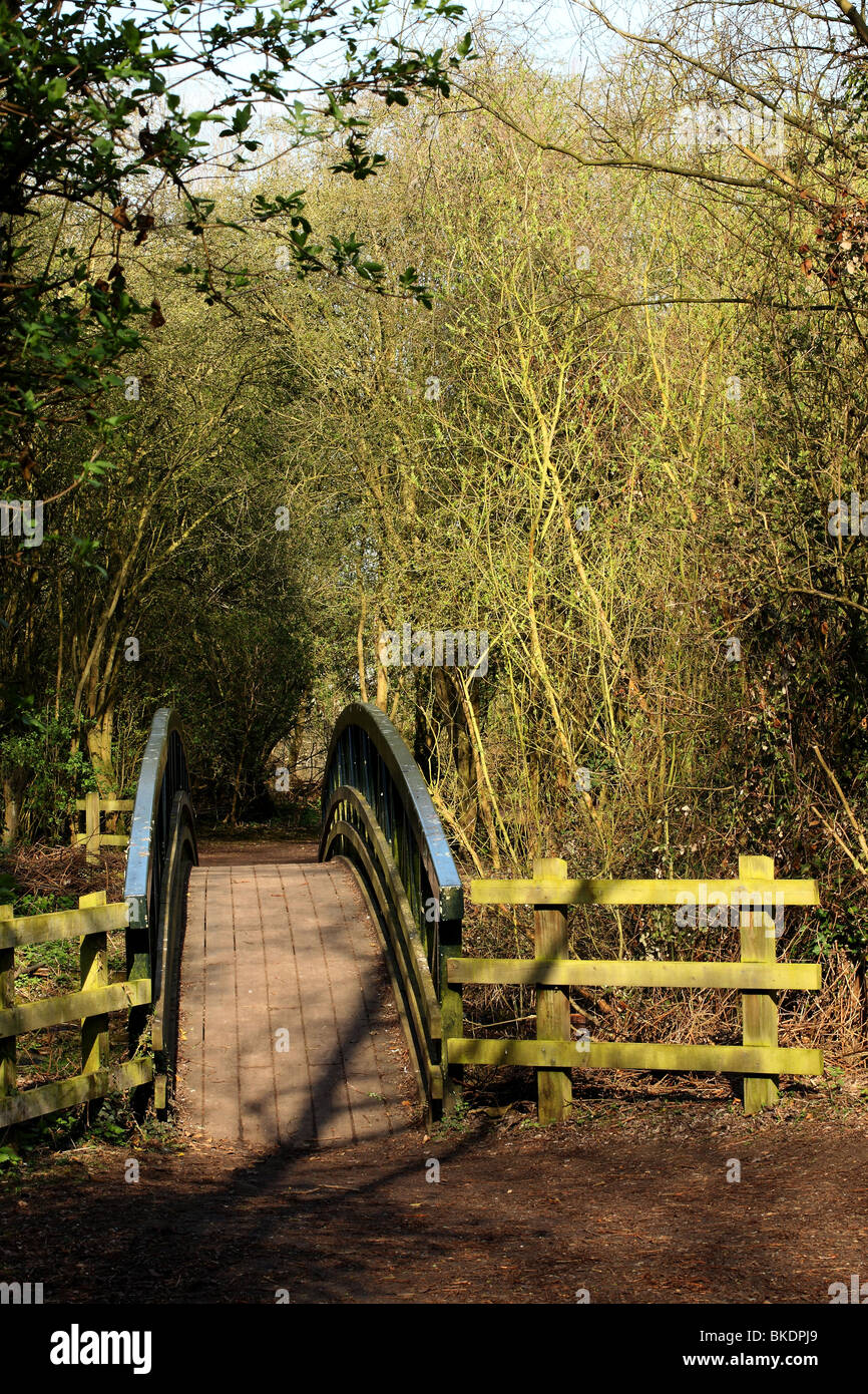 Footbridge over lake Milton Cambridgeshire England Stock Photo - Alamy