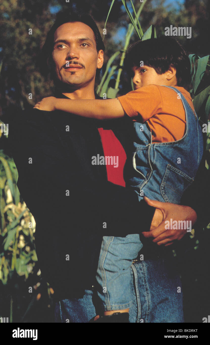 My family 1995 jimmy smits hi-res stock photography and images - Alamy