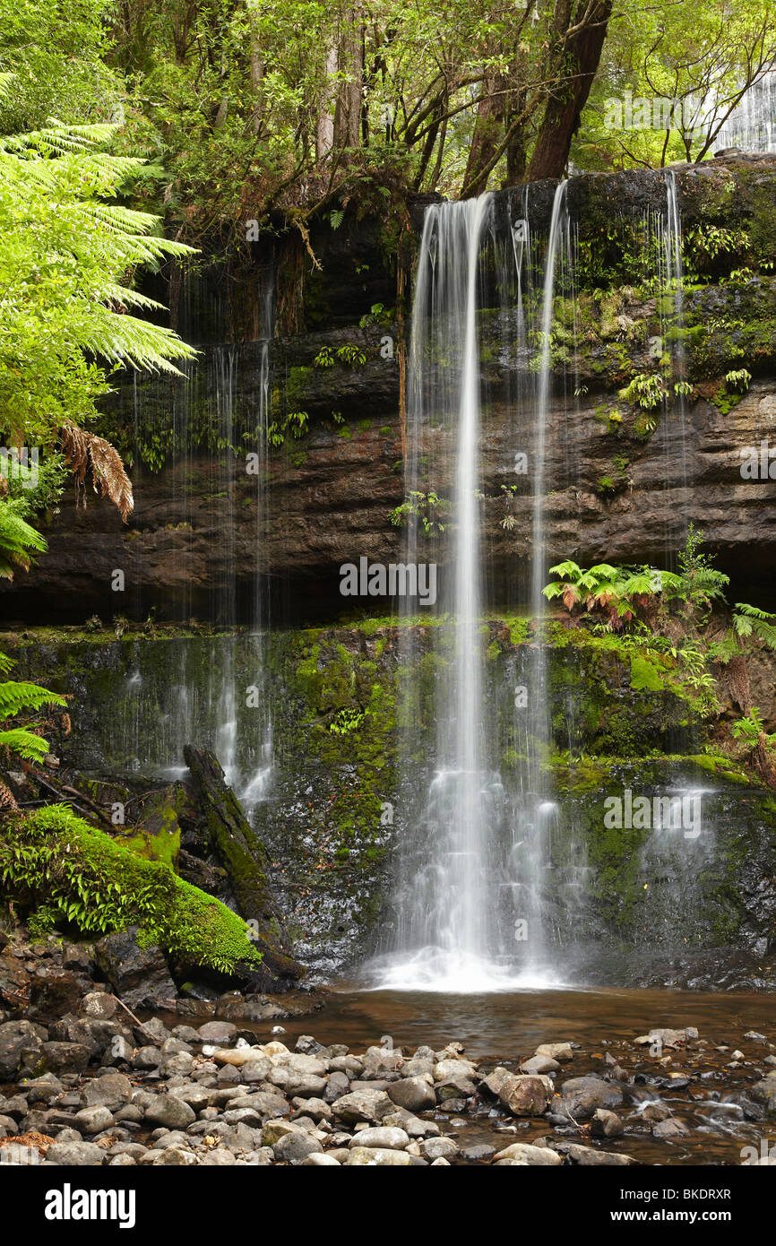 Russell Falls, Mount Field National Park, Tasmania, Australia Stock ...