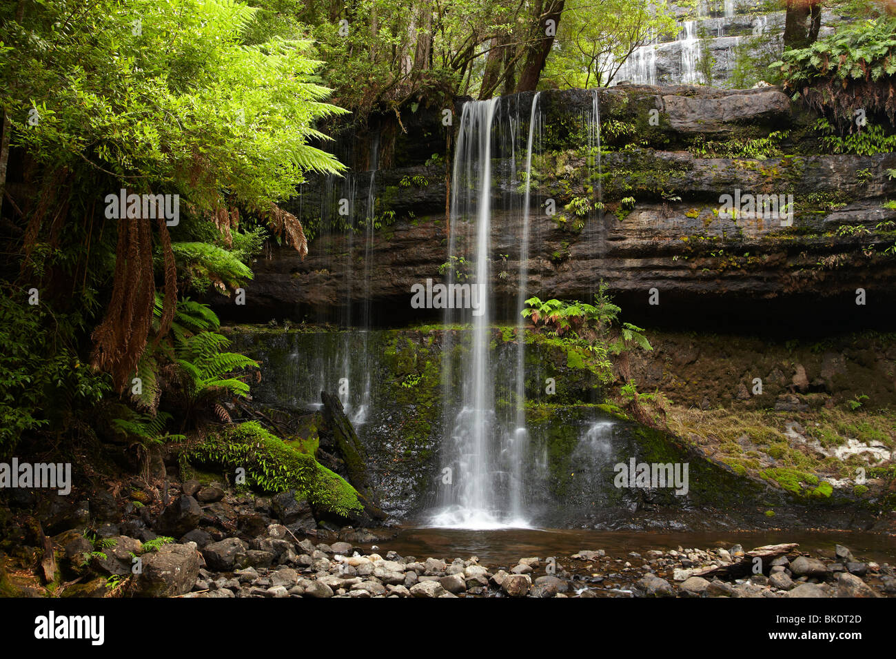 Russell Falls, Mount Field National Park, Tasmania, Australia Stock ...