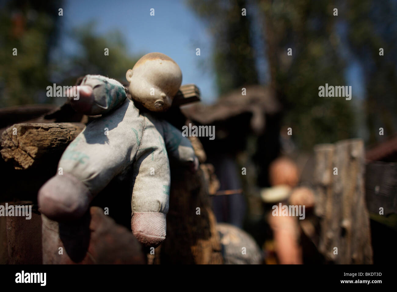 A doll hangs on a building on the Island of the Dolls in Xochimilco ...