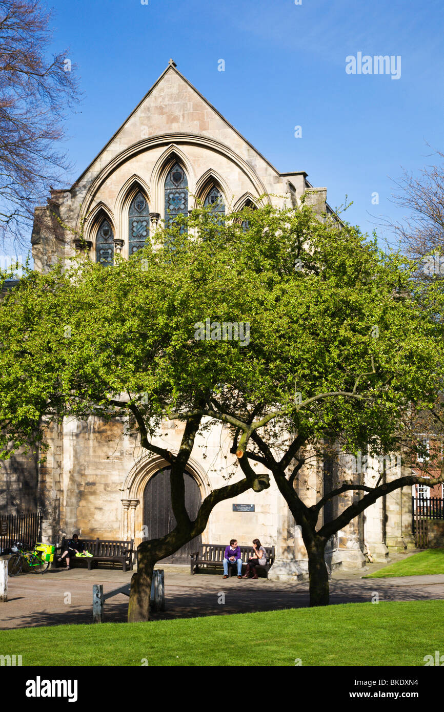 The Minster Library in Deans Park York Yorkshire UK Stock Photo - Alamy