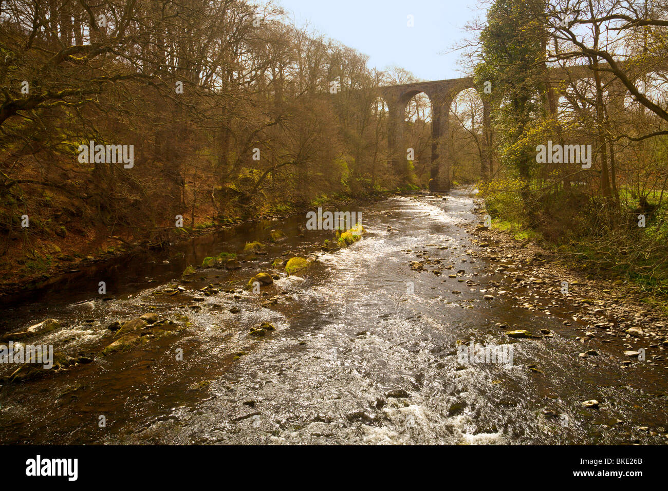 Calderwood hi-res stock photography and images - Alamy