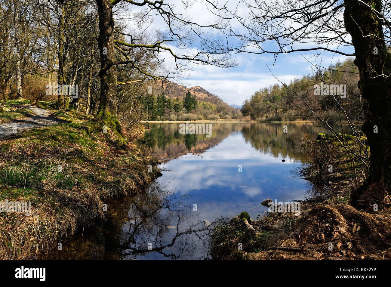 Yew Tree Tarn in the English Lake District Stock Photo - Alamy