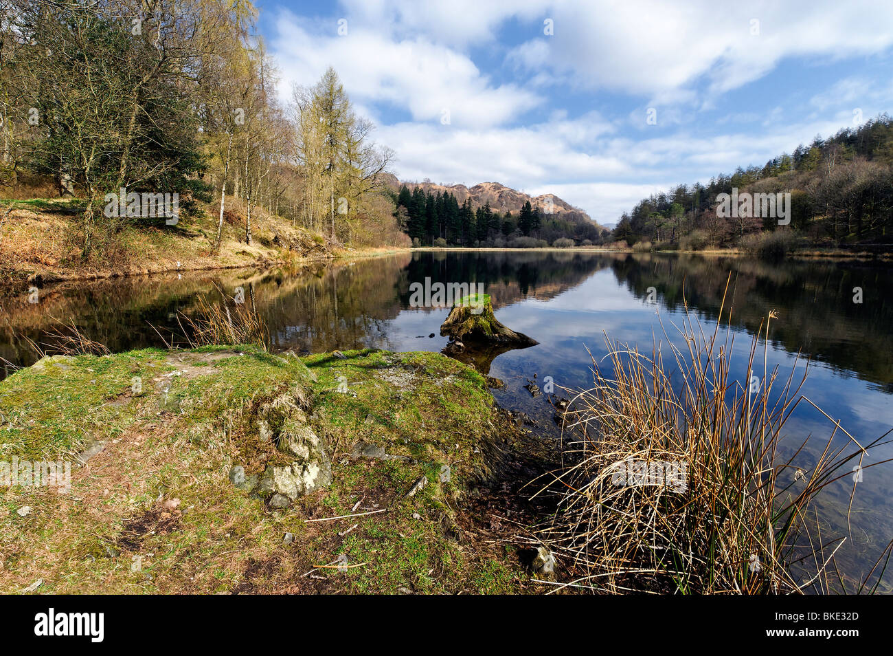 Yew Tree Tarn Lake District High Resolution Stock Photography and ...