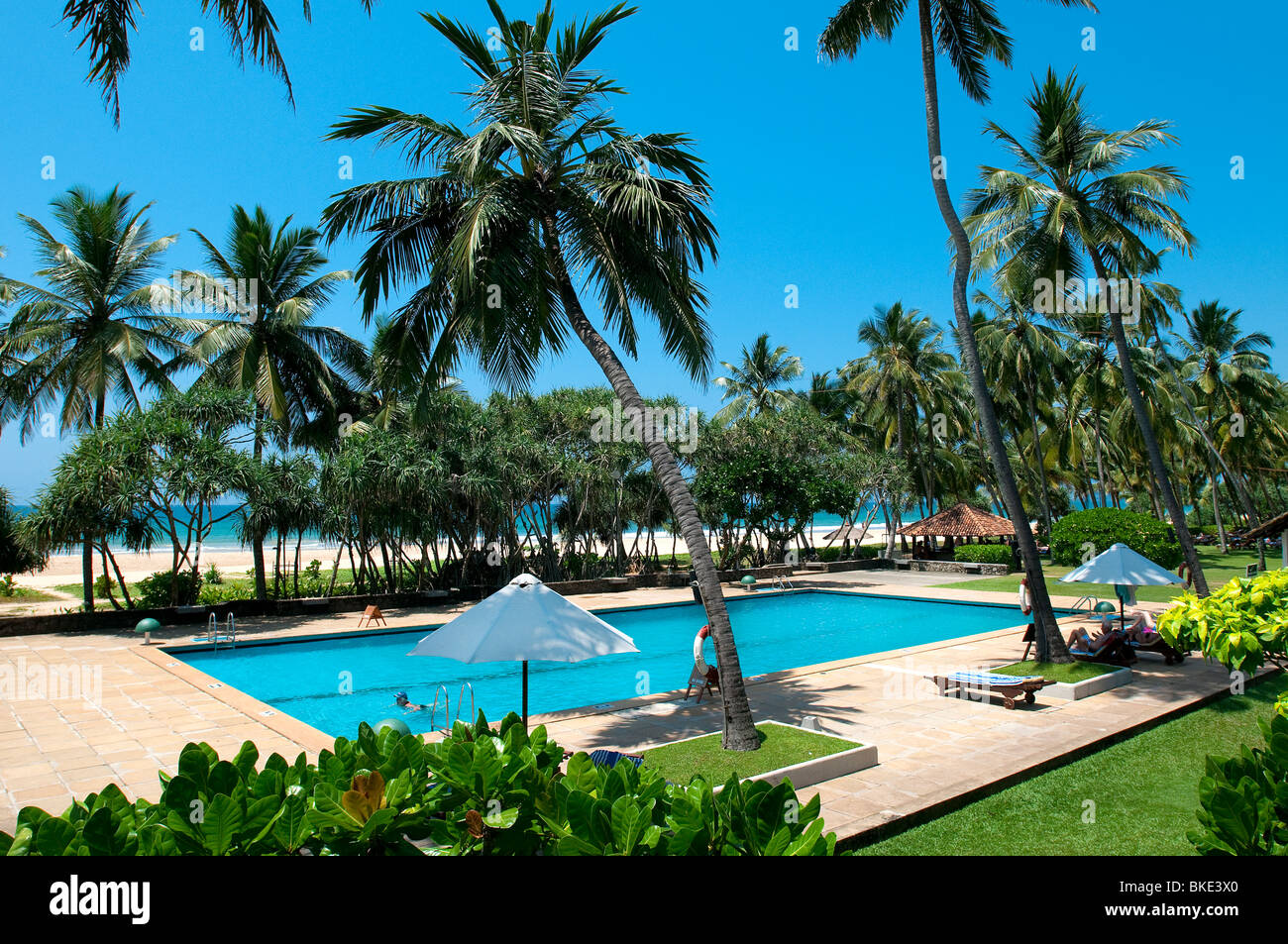Hotel Serendib Swimming Pool with Sea, Bentota, Sri Lanka Stock Photo ...