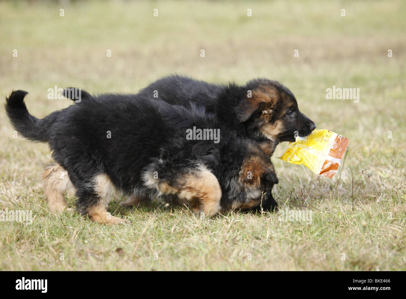 Trabt High Resolution Stock Photography and Images - Alamy