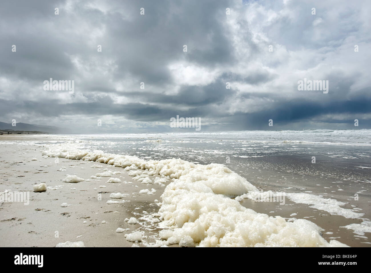 Ocean foam on beach Stock Photo - Alamy