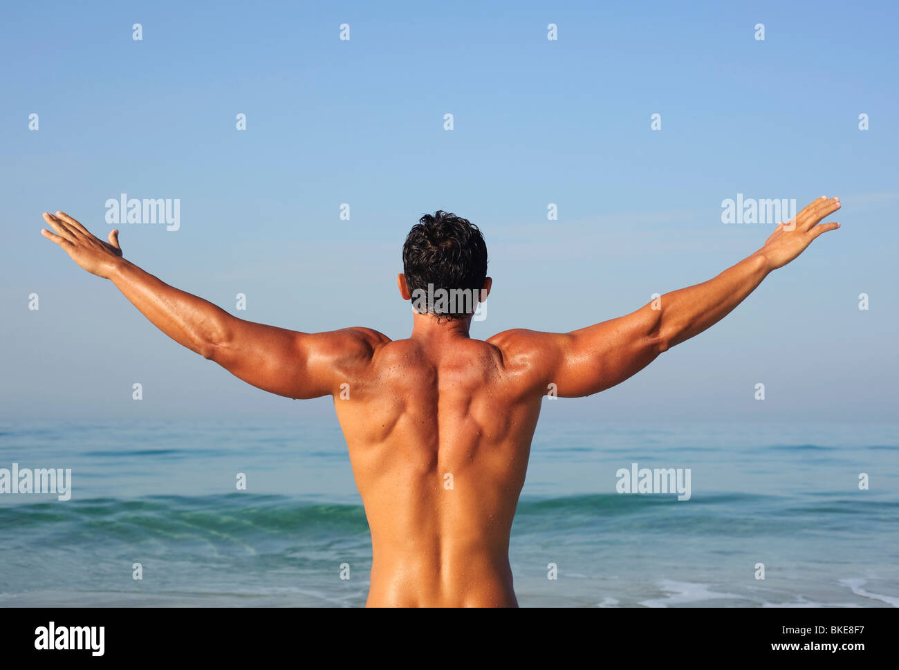 Man back arm muscles hi-res stock photography and images - Alamy