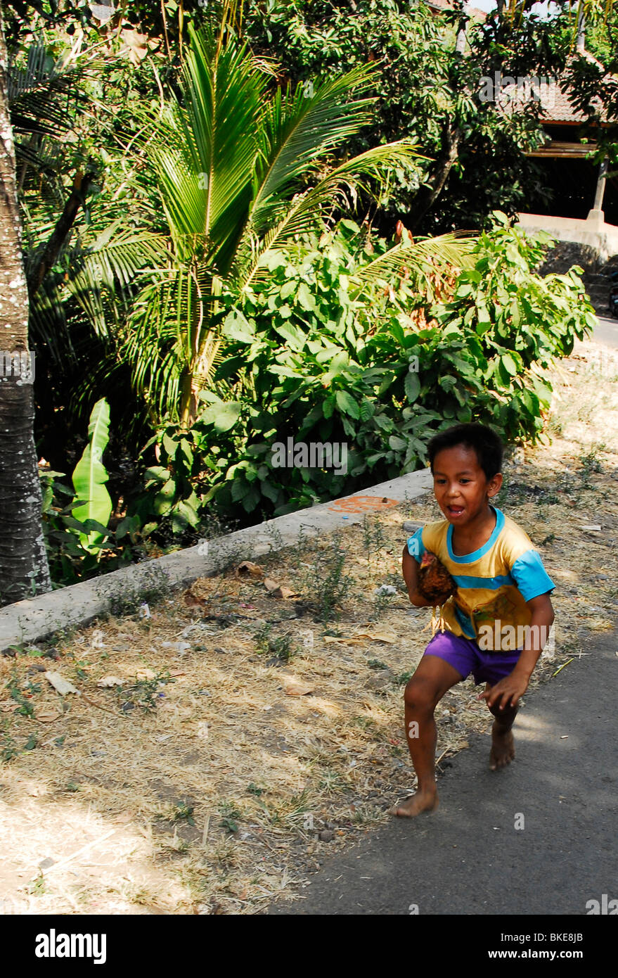 Pura Sabakabian,Bebetin, near lovina , northern bali , indonesia Stock ...