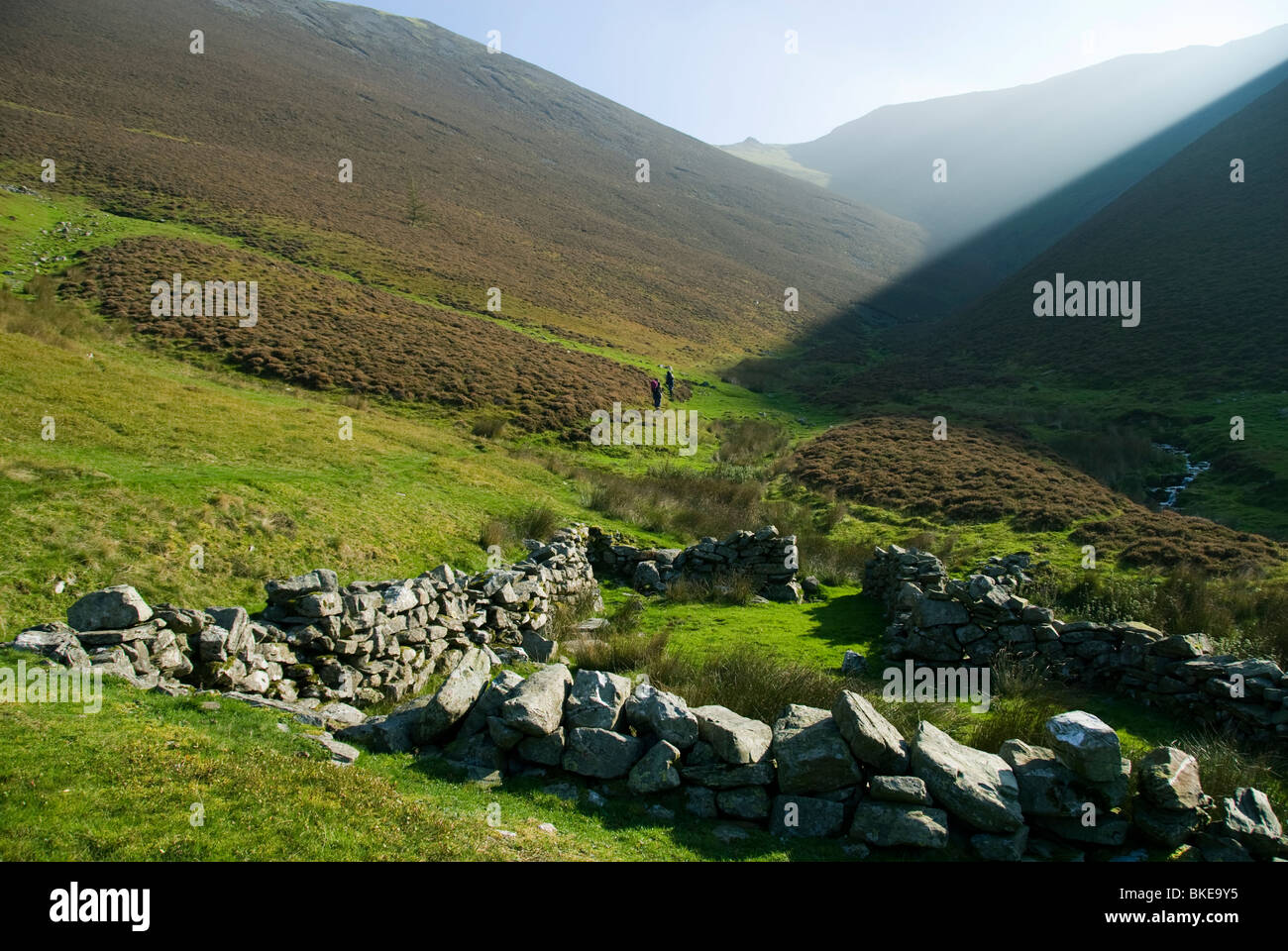Stone sheep fold hi-res stock photography and images - Alamy