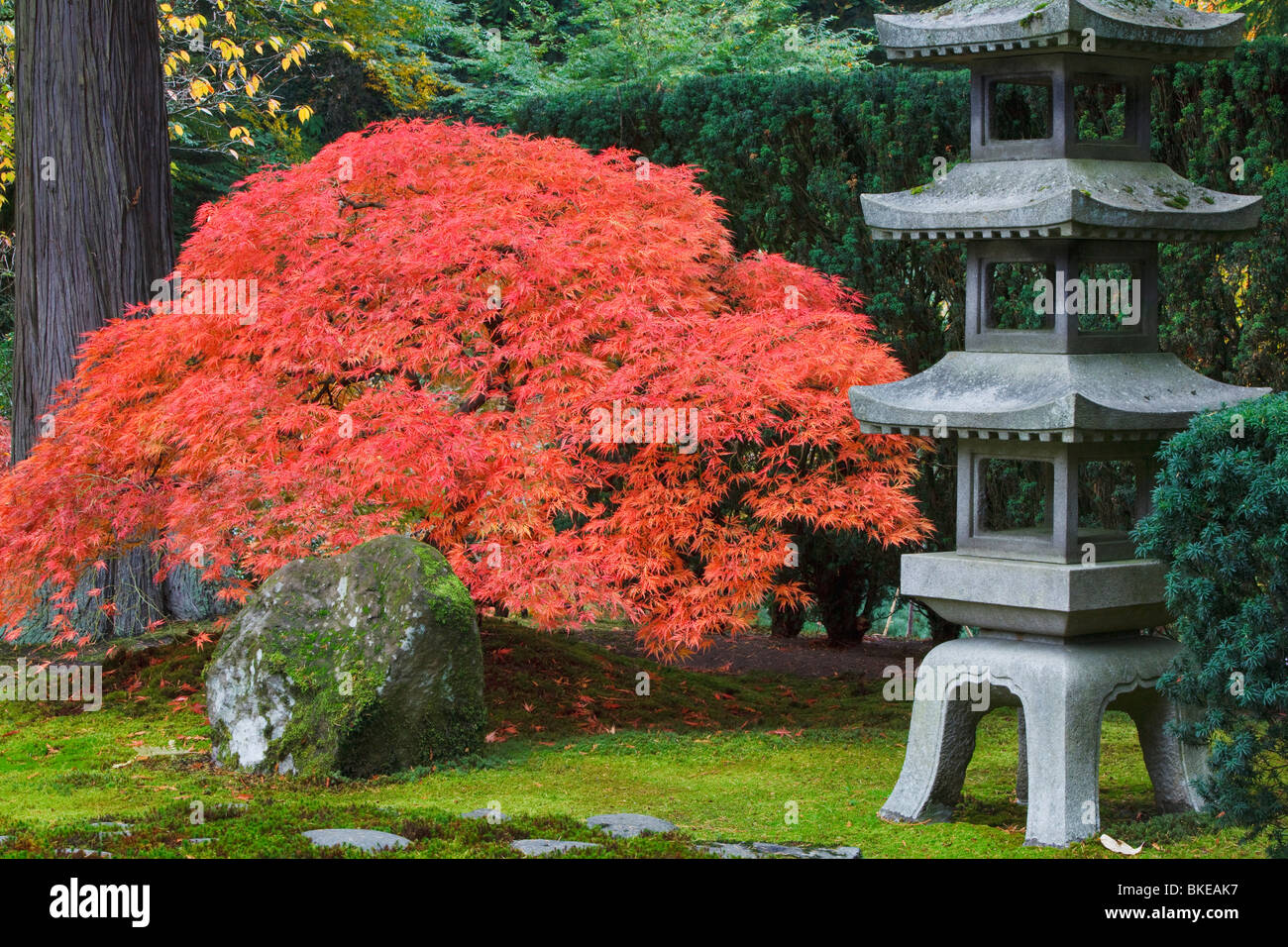 Portland Japanese Garden, Portland, Oregon, Usa Stock Photo - Alamy