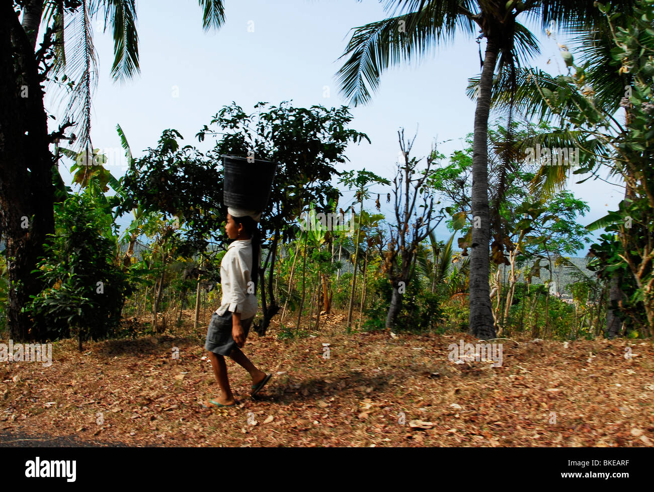 Pura Sabakabian,Bebetin, near lovina , northern bali , indonesia Stock ...