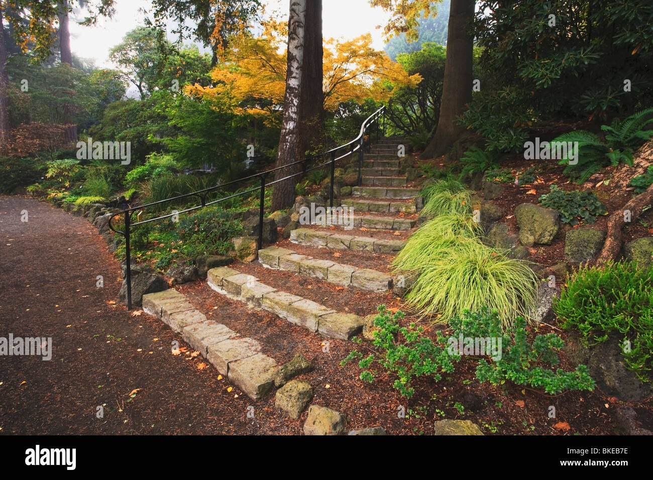 Crystal springs rhododendron garden hi-res stock photography and images ...