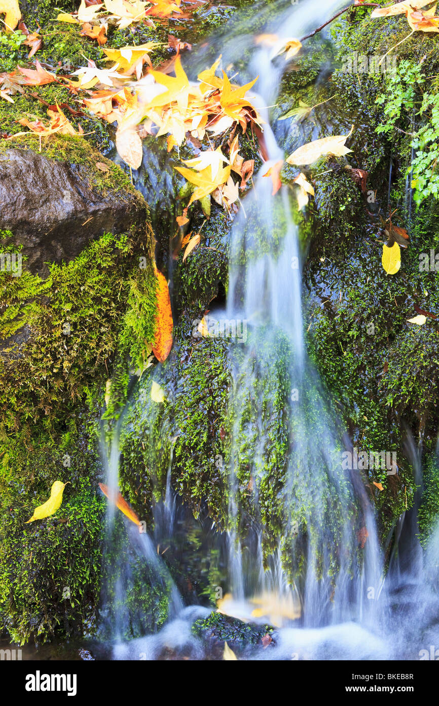 Oregon Cascades, Oregon, Usa Stock Photo - Alamy