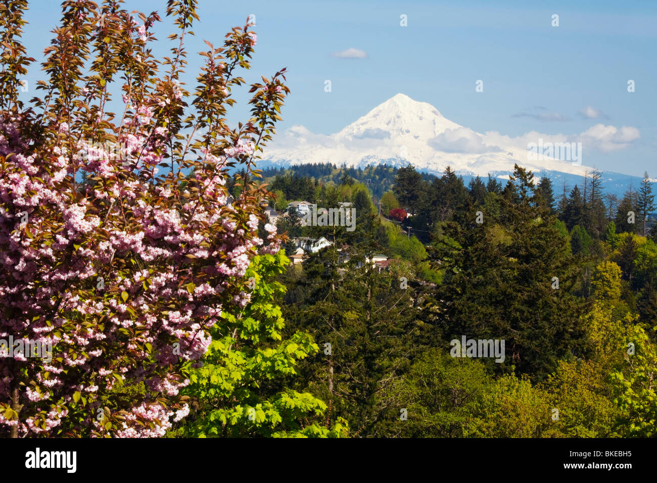 Happy Valley, Mount Hood, Oregon, Usa Stock Photo - Alamy